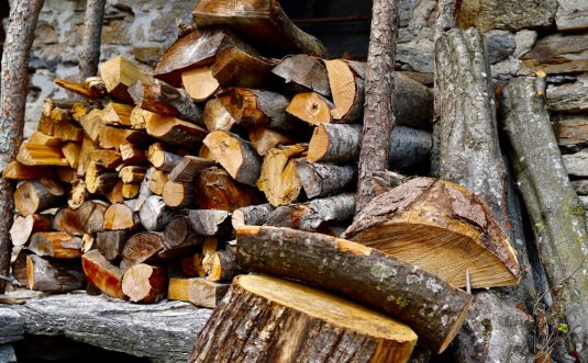 Le partage de ressources : booster la collaboration 欄